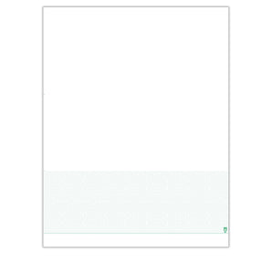 Blank Check Paper Bottom | TROY Group